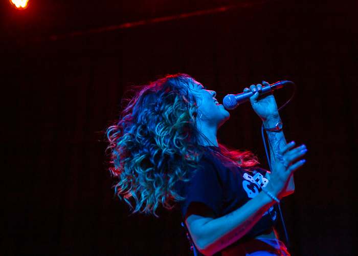 JJ Wilde and The Blue Stones Pour A Rock Exhibition at Brooklyn's Rough ...